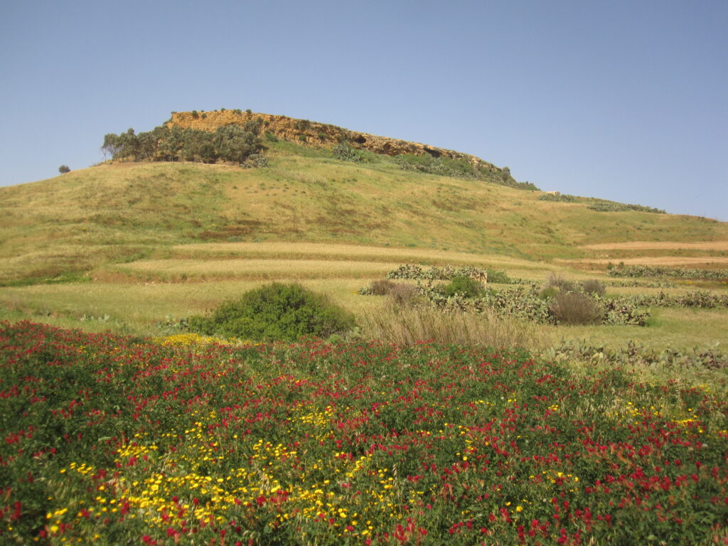 The Ultimate Top 10 Things to Do in Gozo | Routinely Nomadic