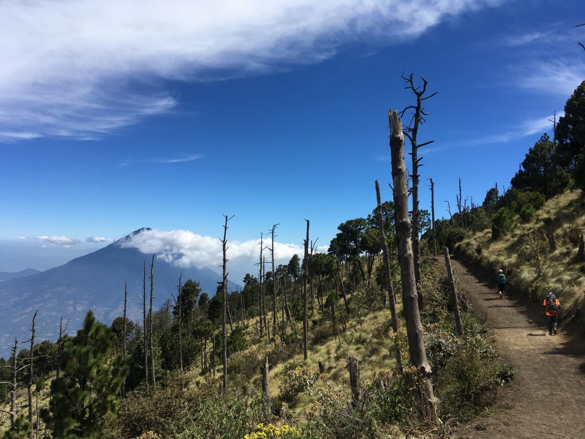 A Volcan Acatenango Hike Guide | Routinely Nomadic