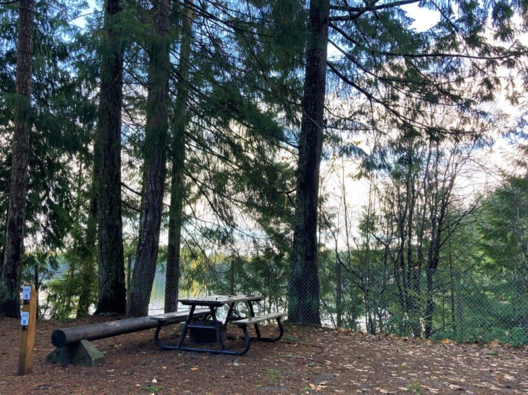 Comox Lake: Camping, Hiking and Biking on Vancouver Island | Routinely ...