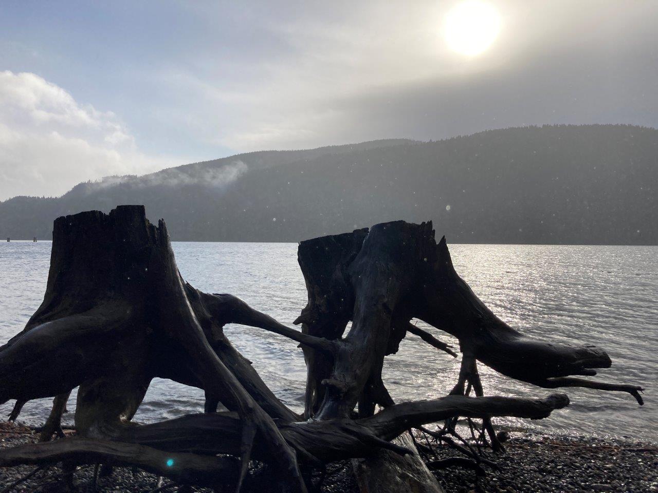 Comox Lake: Camping, Hiking and Biking on Vancouver Island | Routinely ...