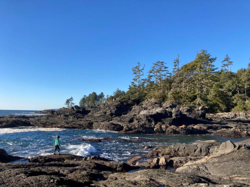 Botanical Beach: Explore Fascinating Tide Pools | Routinely Nomadic