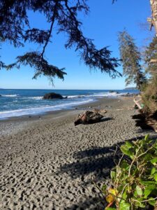 Sombrio Beach: Guide to Camping, Hiking and Surfing | Routinely Nomadic