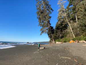Sombrio Beach: Guide to Camping, Hiking and Surfing | Routinely Nomadic