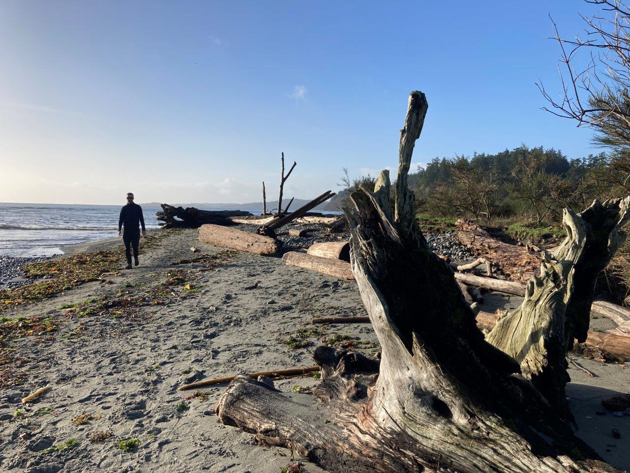 The 7 Best Beaches in Victoria BC | Routinely Nomadic