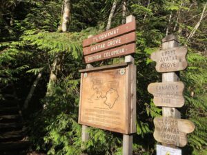 Avatar Grove and Big Lonely Doug: A Love Story | Routinely Nomadic