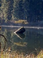 Port Renfrew: 10 Great Things to Do on Vancouver Island’s Wild West ...