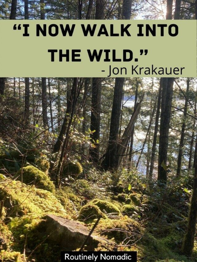 Perfect Short Hiking Quotes for Instagram in 2023 | Routinely Nomadic