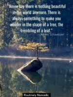 100 Peaceful Tree Captions for Instagram | Routinely Nomadic
