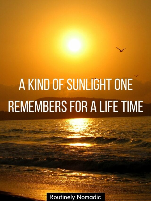 100 Best Sun Captions for that Sunny Day | Routinely Nomadic