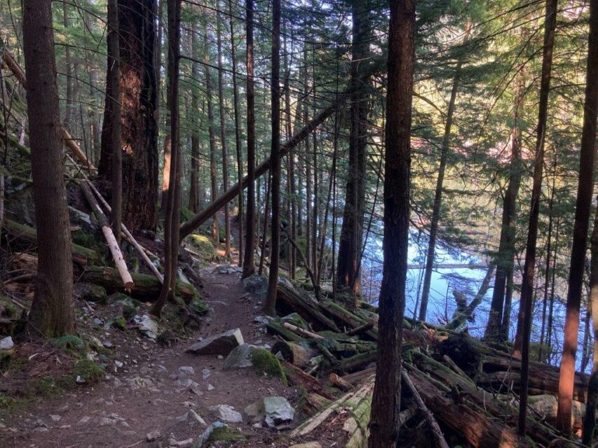 Brohm Lake: The Perfect Place to Hike, Float, Jump and Fish | Routinely ...