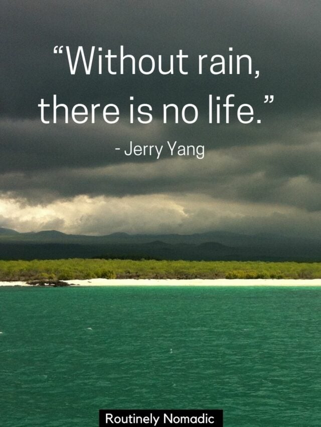 100 Top Rain Quotes: Rainy Day Sayings | Routinely Nomadic