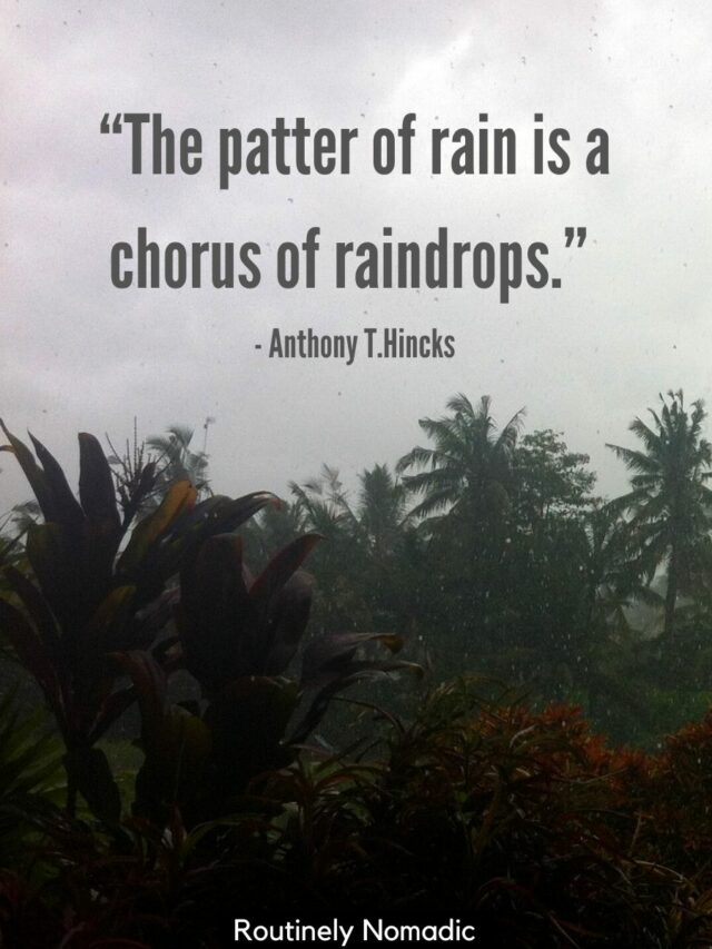 100 Top Rain Quotes: Rainy Day Sayings | Routinely Nomadic