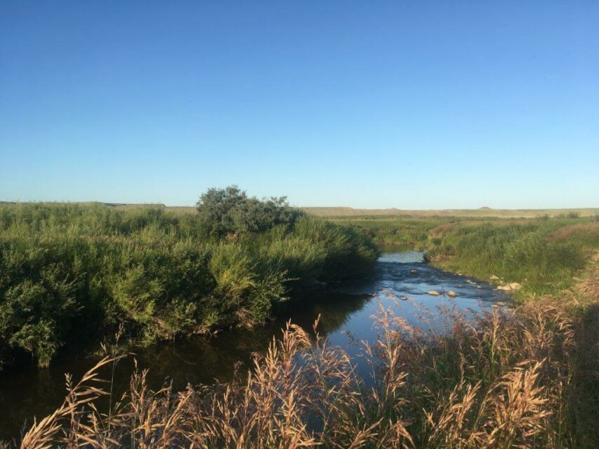 Grasslands National Park: Big Sky Hiking, Camping and Wildlife ...