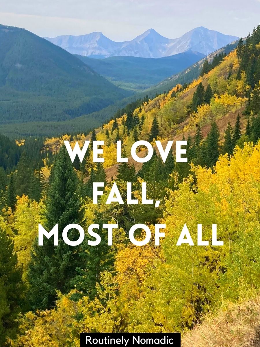 250 Fall Captions Perfect Autumn Captions Routinely Nomadic 250 Fall Captions Perfect Autumn Captions Routinely Nomadic