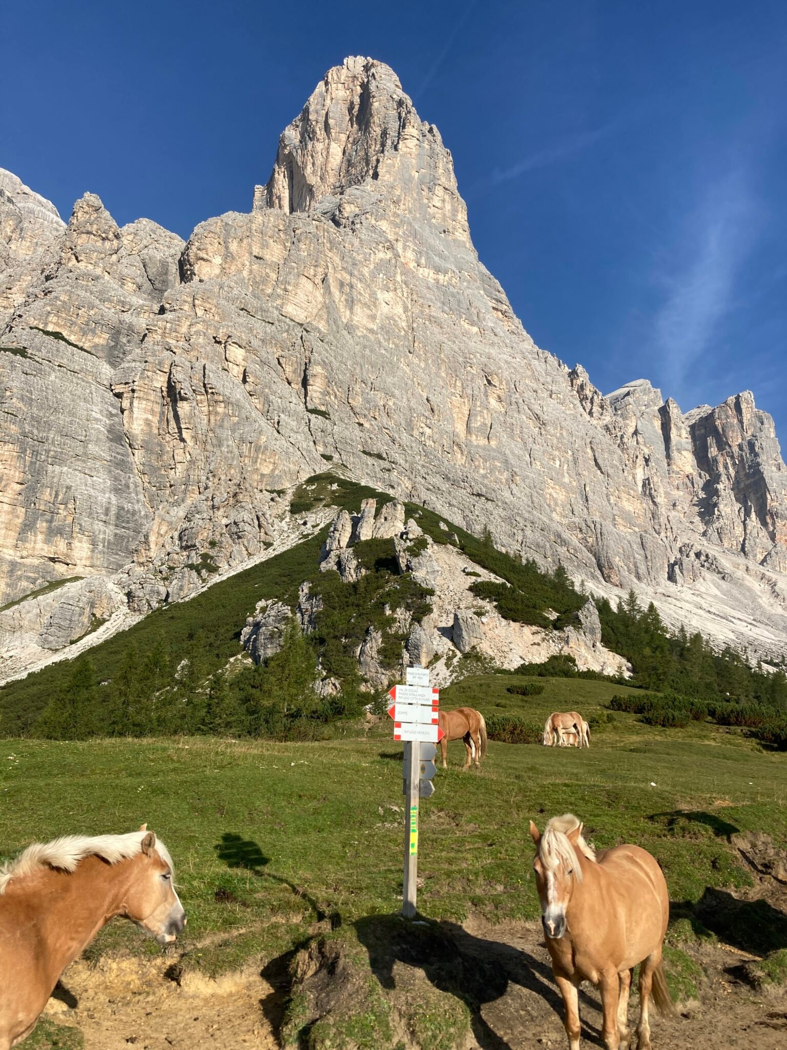 Alta Via 1: The Best Trek in the Italian Dolomites | Routinely Nomadic