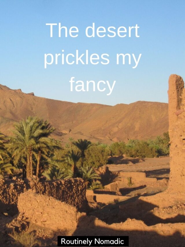 150 Perfect Desert Captions | Routinely Nomadic