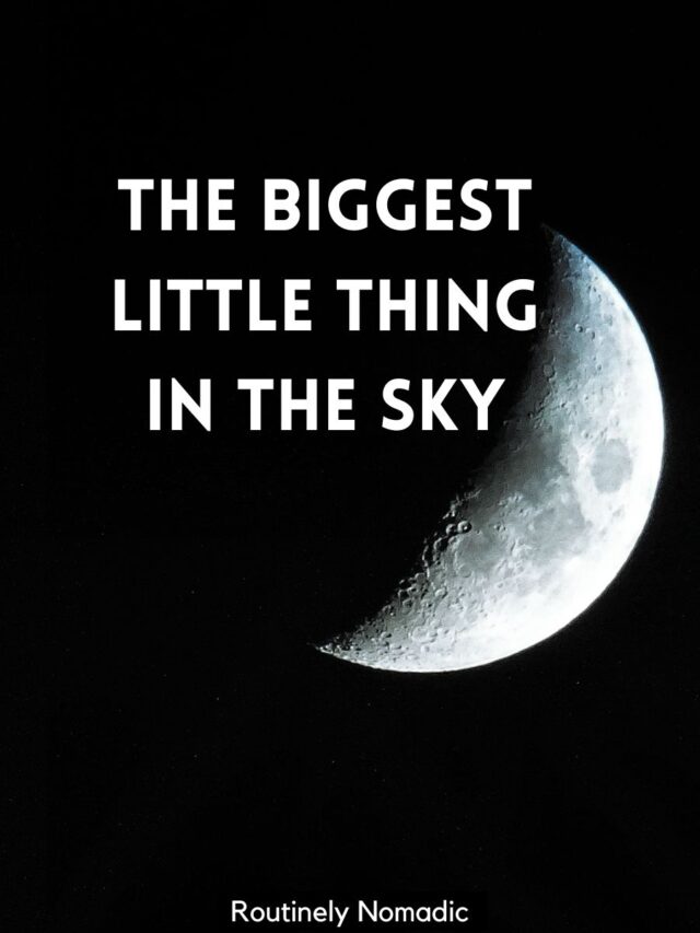 180 Best Moon Quotes and Captions for 2022 | Routinely Nomadic