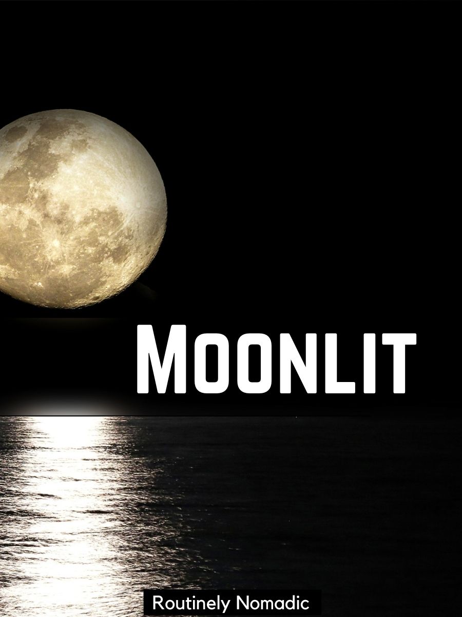 125 Perfect Moon Captions for 2023 | Routinely Nomadic