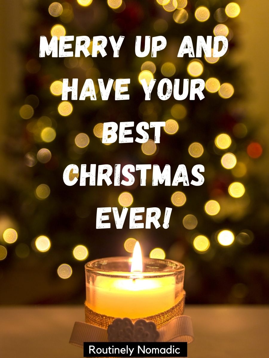 Funny Christmas Wishes: 150 Funny Christmas Greetings | Routinely Nomadic