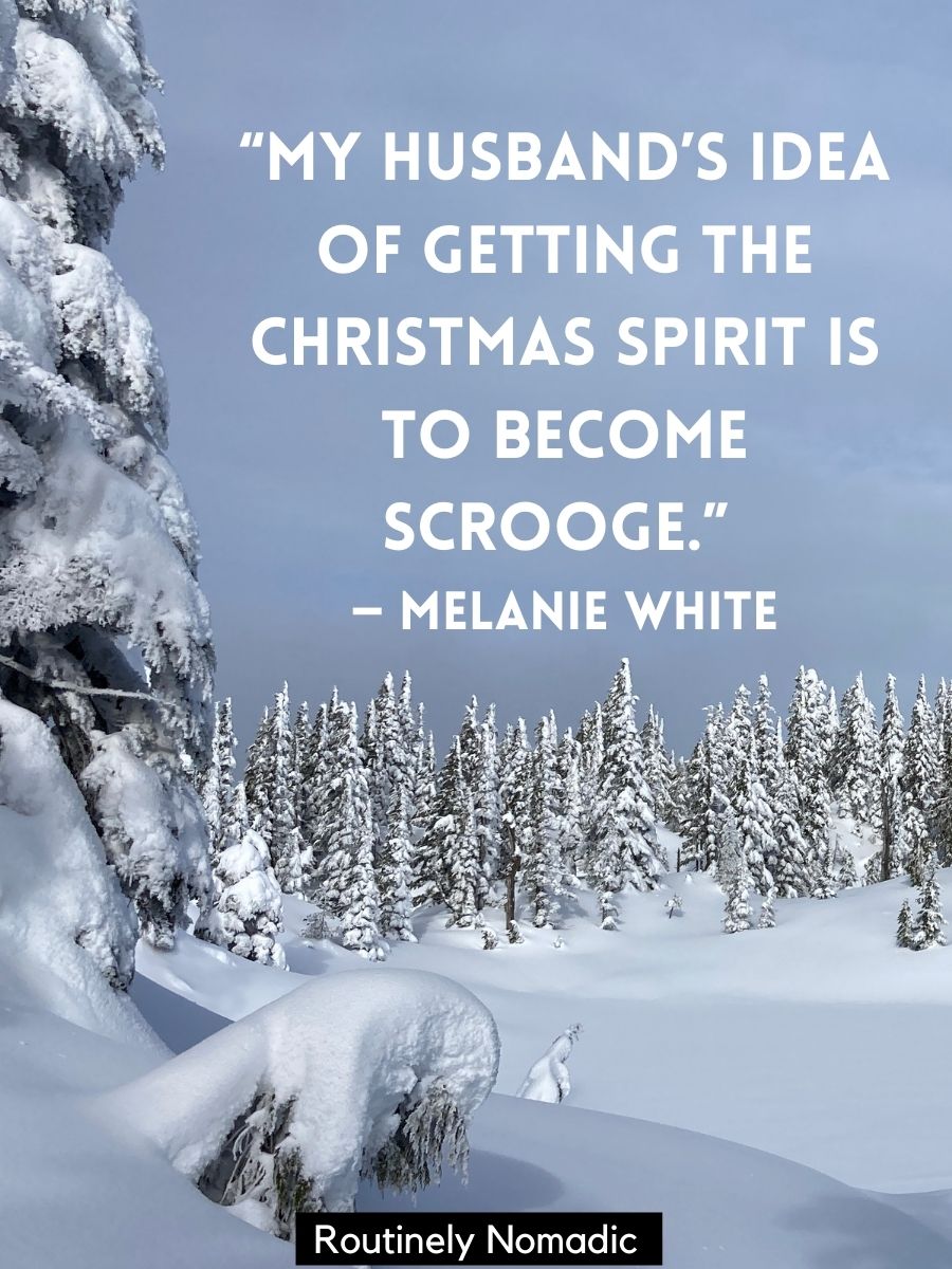 Short Christmas Quotes: 150 Amazing Short Christmas Sayings | Routinely ...