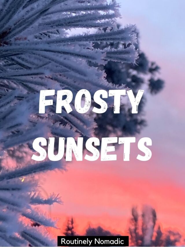 65 Short Sunset Quotes for the End of the Day | Routinely Nomadic