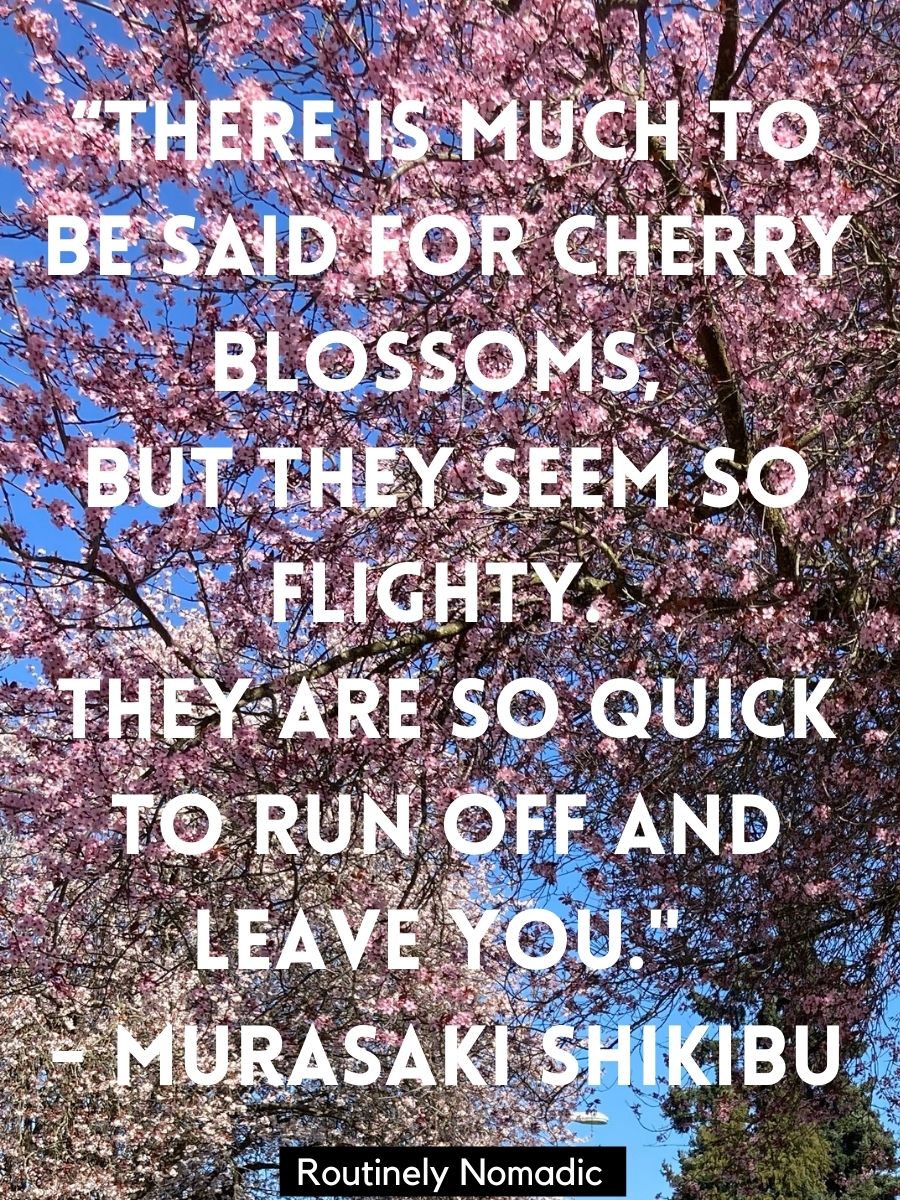 170 Blooming Cherry Blossom Quotes | Routinely Nomadic