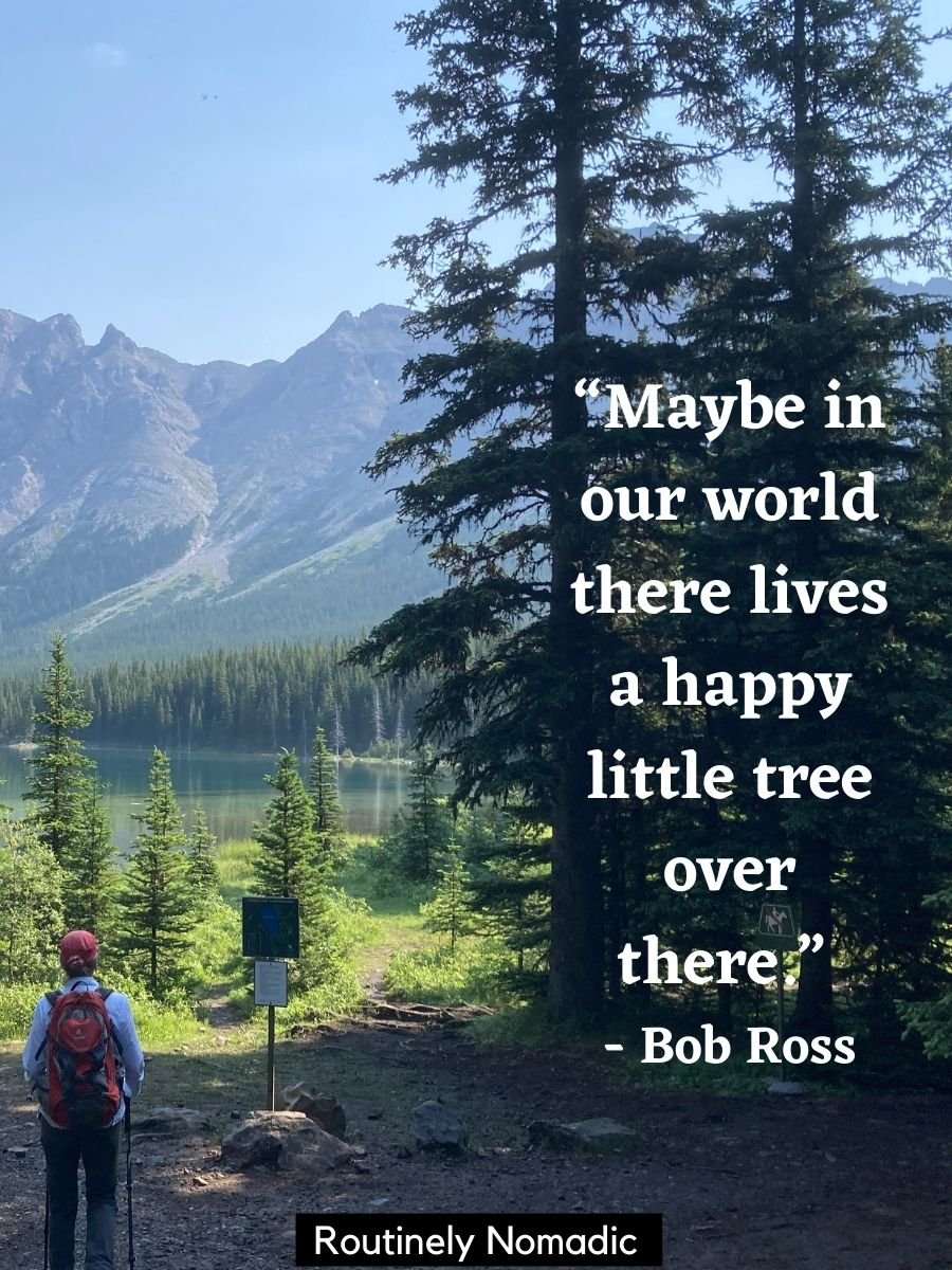 100 Beautiful Tree Quotes and Sayings | Routinely Nomadic