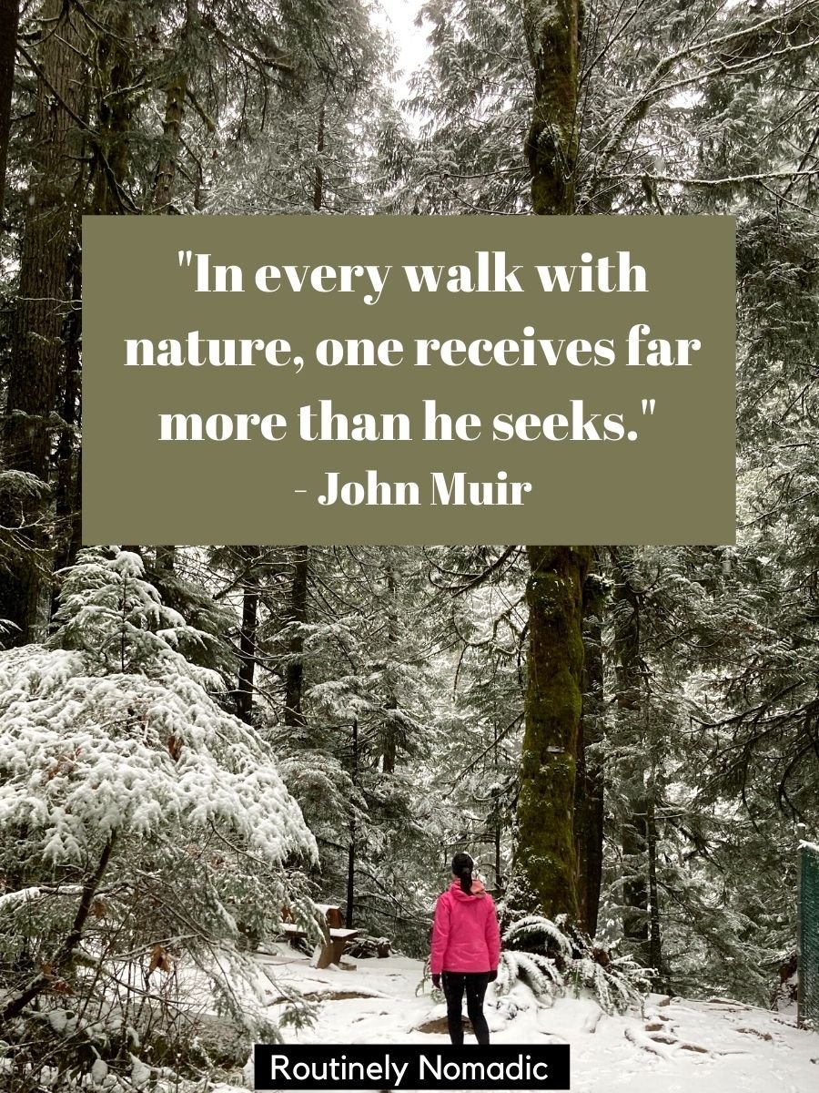 100 Best Forest Quotes and Captions | Routinely Nomadic