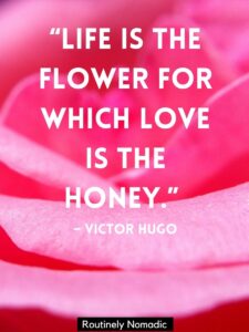 Short Flower Quotes: 110 Amazing Flower Sayings | Routinely Nomadic