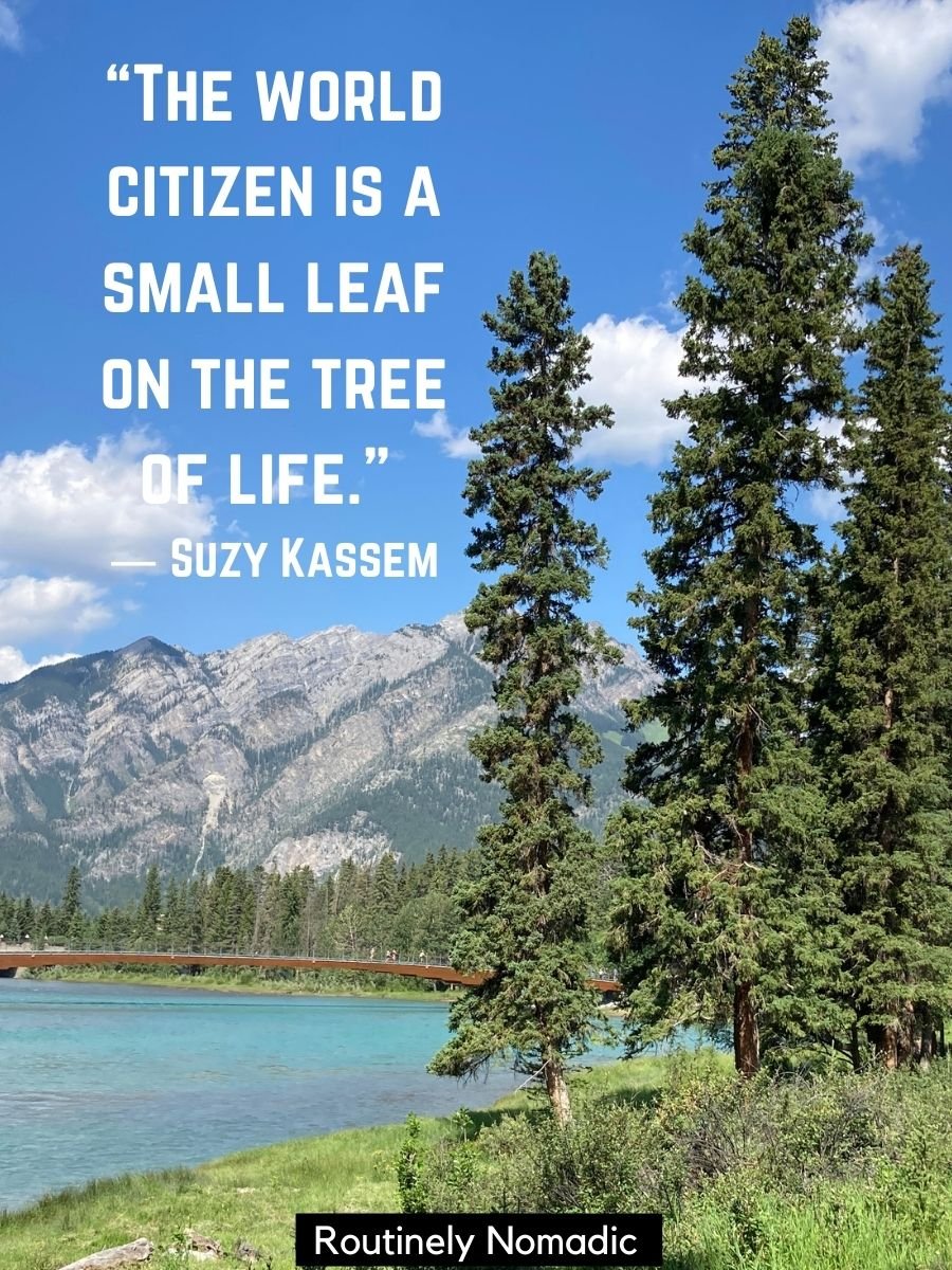 100 Beautiful Tree Quotes and Sayings | Routinely Nomadic