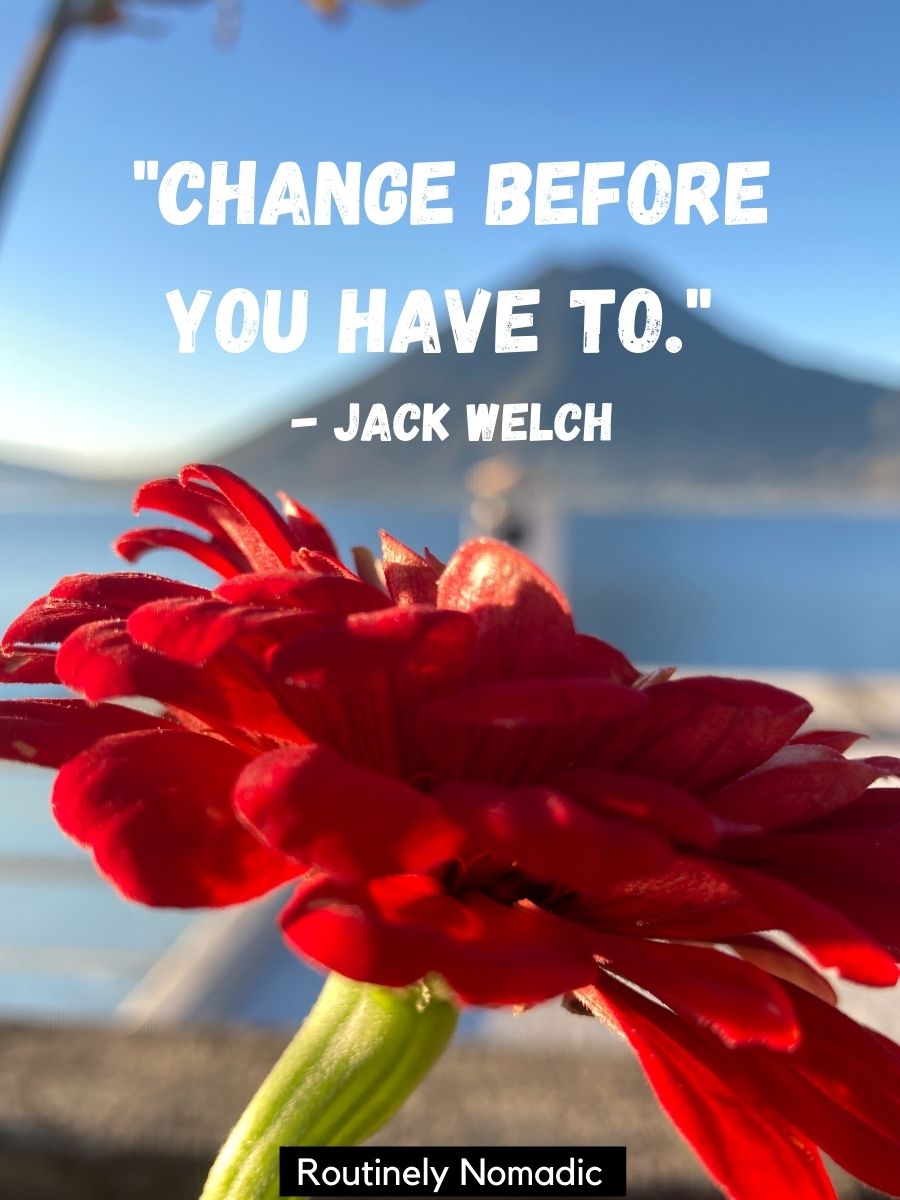 Short Encouraging Quotes for a Positive Boost | Routinely Nomadic