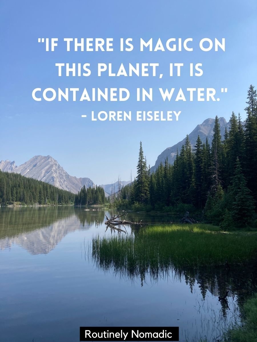 53 Short Nature Quotes: Best Inspirational Thoughts on Nature ...