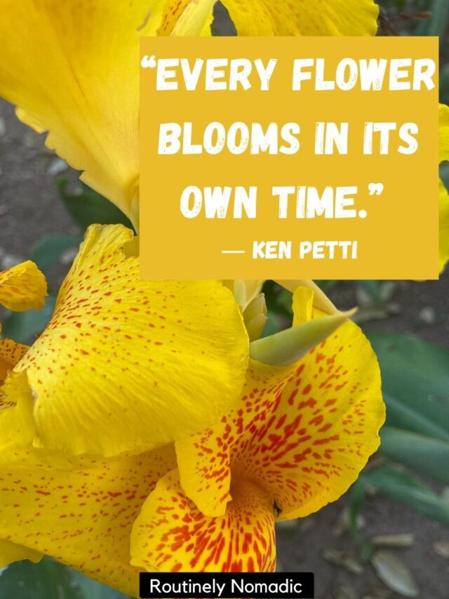 Short Flower Quotes: 110 Amazing Flower Sayings | Routinely Nomadic
