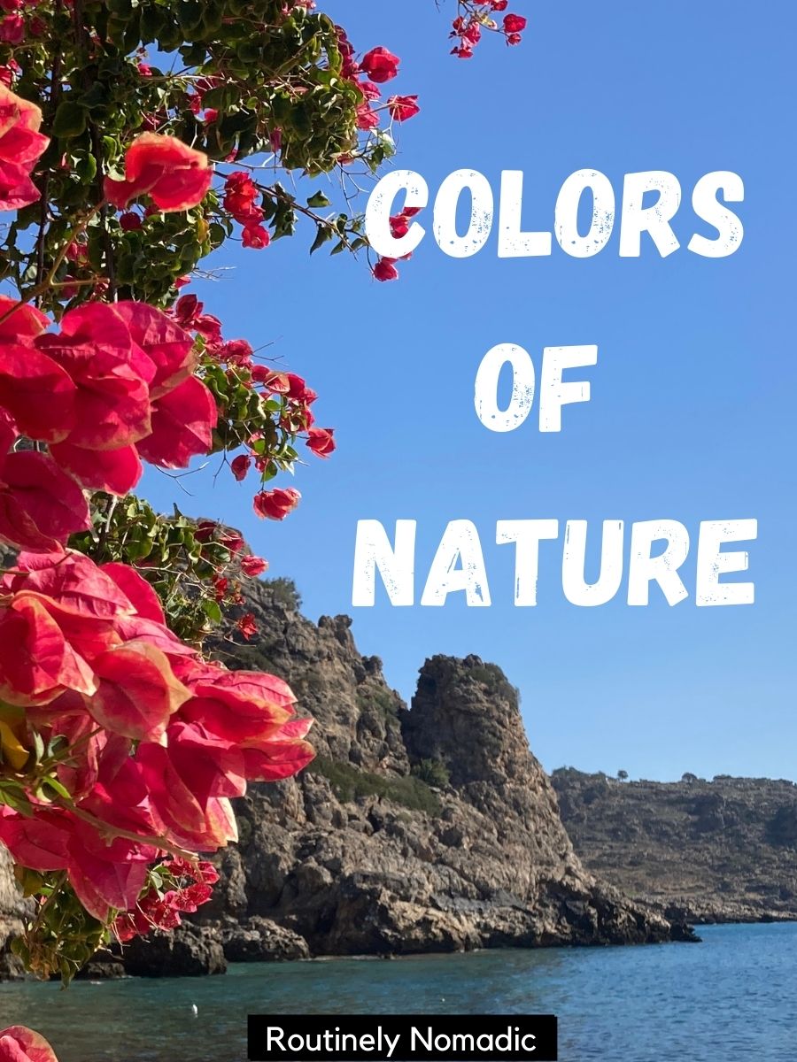 53 Short Nature Quotes: Best Inspirational Thoughts on Nature ...