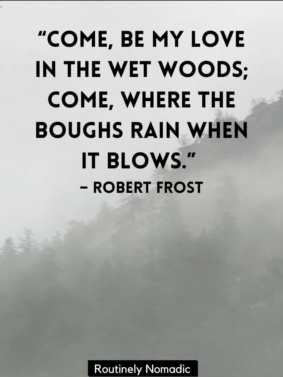 100 Top Rain Quotes: Rainy Day Sayings | Routinely Nomadic