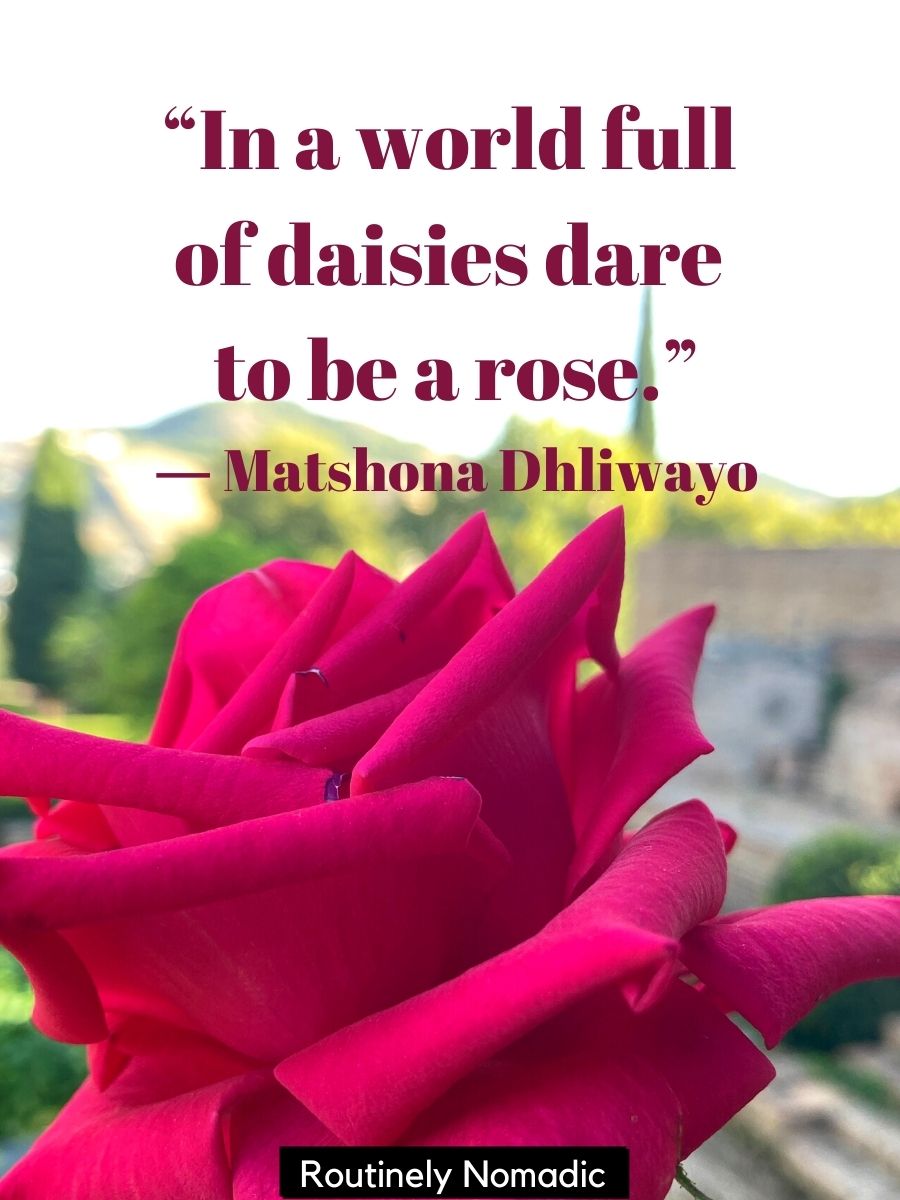 Short Flower Quotes: 110 Amazing Flower Sayings | Routinely Nomadic