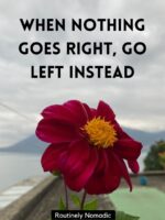 200 Short Instagram Captions for When You Want it Short and Sweet ...