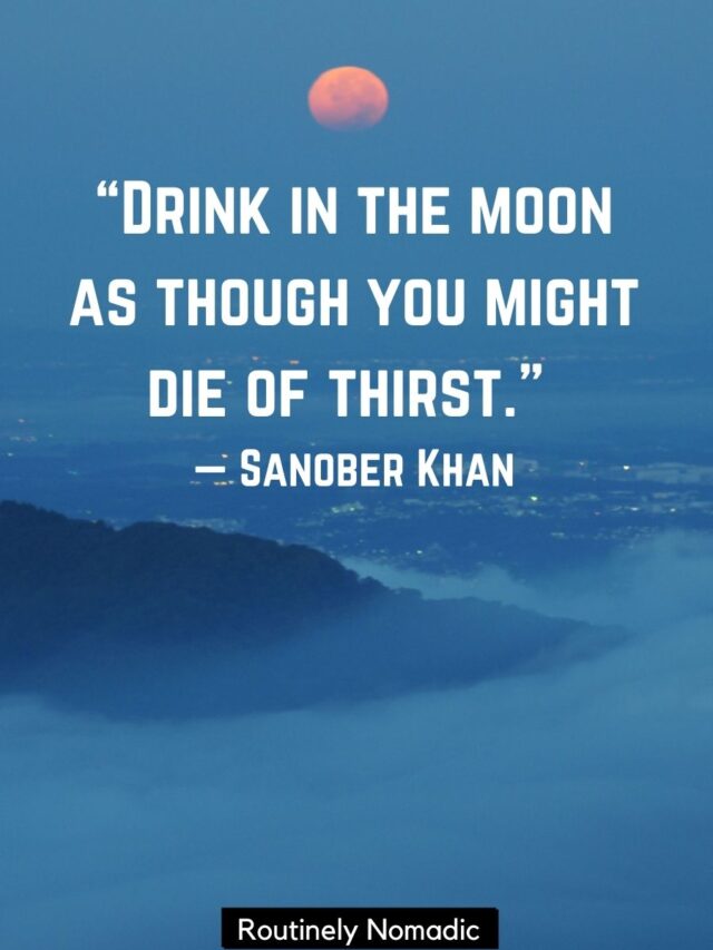 125 Perfect Moon Captions for 2023 | Routinely Nomadic