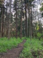 The Ultimate Guide to Pender Island | Routinely Nomadic