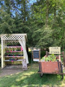 Salt Spring Island: 20 Amazing Reasons to Visit | Routinely Nomadic