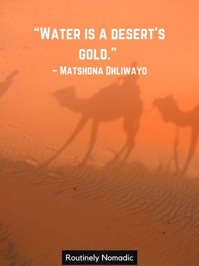 Perfect Desert Quotes: 115 Desert Sayings | Routinely Nomadic