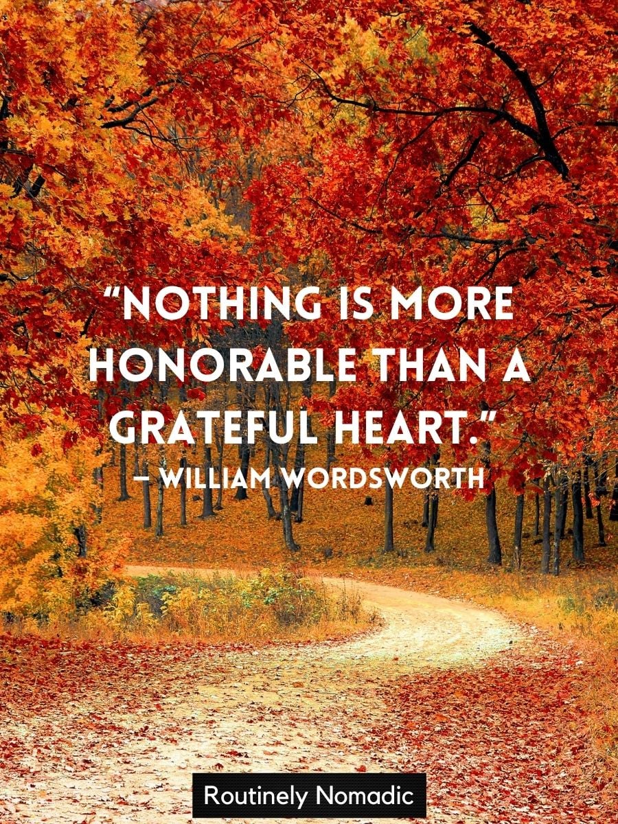 160 Perfect Gratitude Quotes to Show Your Appreciation | Routinely Nomadic