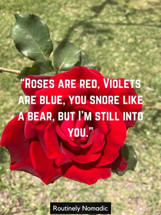 Best Roses Are Red Violets Are Blue Poems For 2023 Routinely Nomadic Best Roses Are Red Violets Are Blue Poems For 2023 Routinely Nomadic