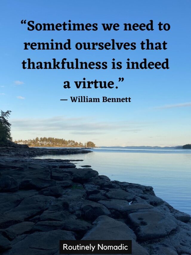 250 Thank You Messages to Share Your Gratitude | Routinely Nomadic