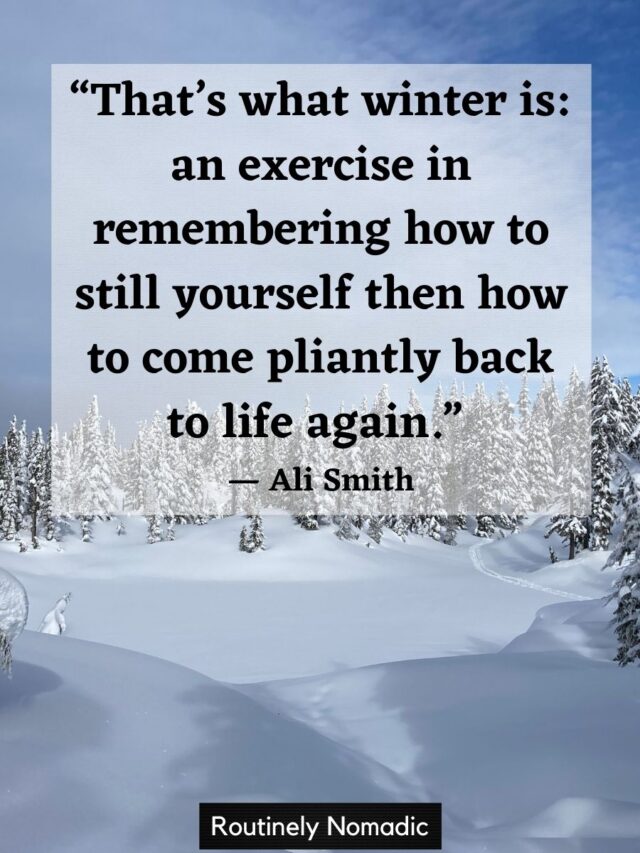 Cute, Short and Funny Winter Sayings for Signs for Cozy Season ...