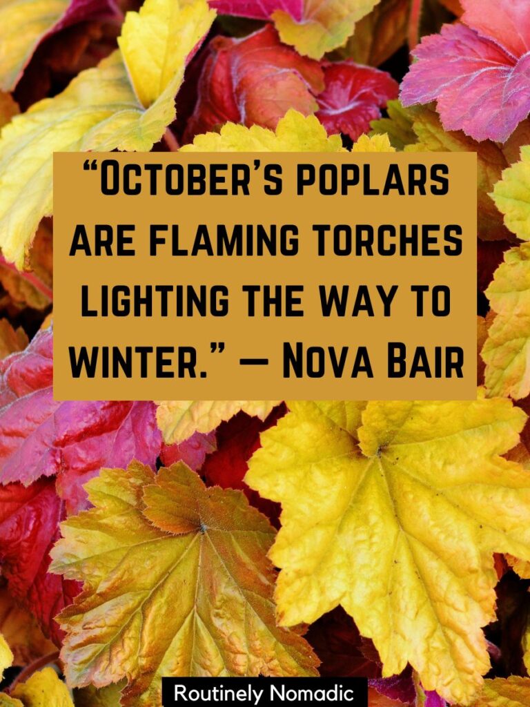 100 Best Hello October Captions For Instagram Routinely Shares 100 Best Hello October Captions For Instagram Routinely Shares