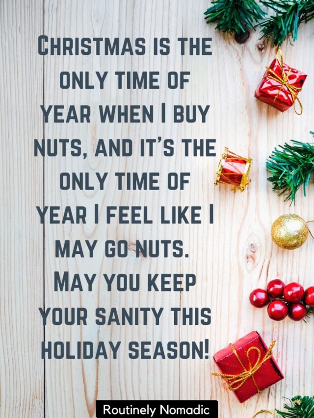 Funny Christmas Wishes: 150 Funny Christmas Greetings | Routinely Nomadic