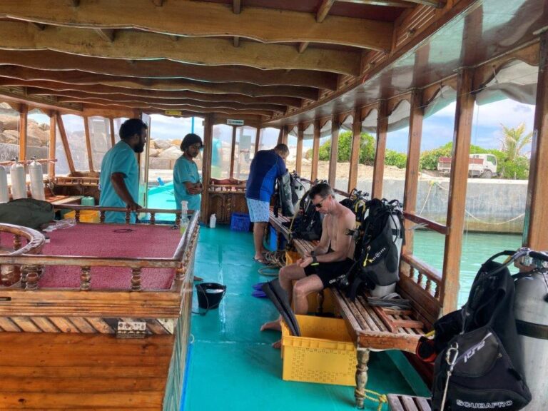 Fuvahmulah Maldives: Guide to the Tiger Shark Capital of the World ...