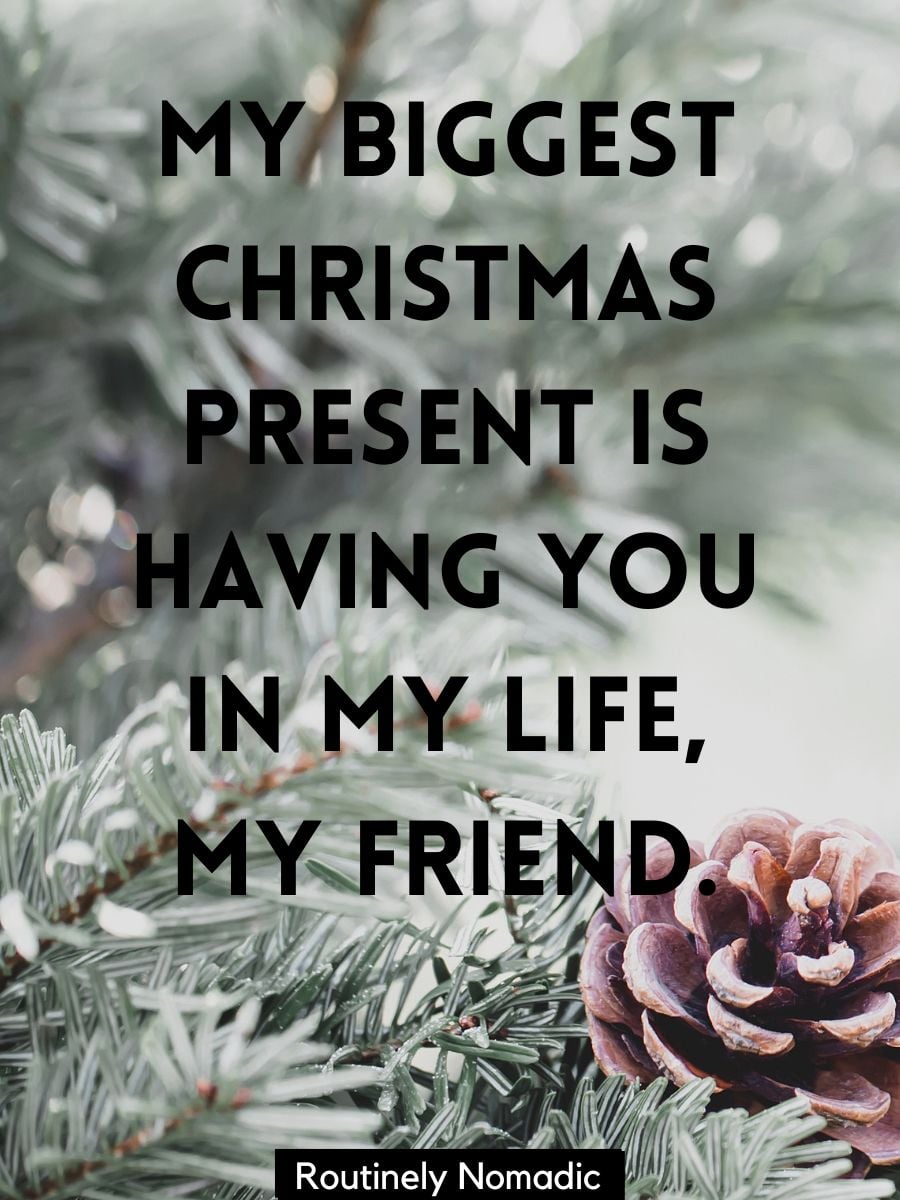 150 Festive Merry Christmas Messages for Cards | Routinely Nomadic