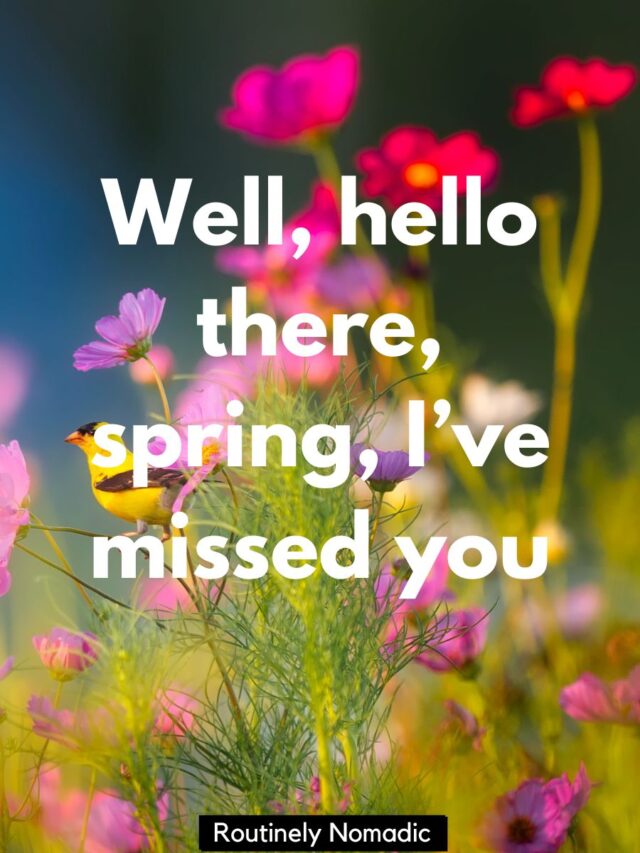 200 Short Spring Letter Board Quotes and Sayings to Welcome a New ...